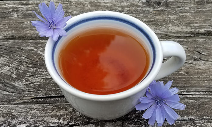 Chicory Root Coffee | Roasted Chicory Drink Recipe | Veggums